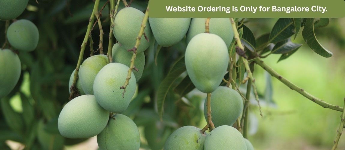 Evergreen E-com(USA)